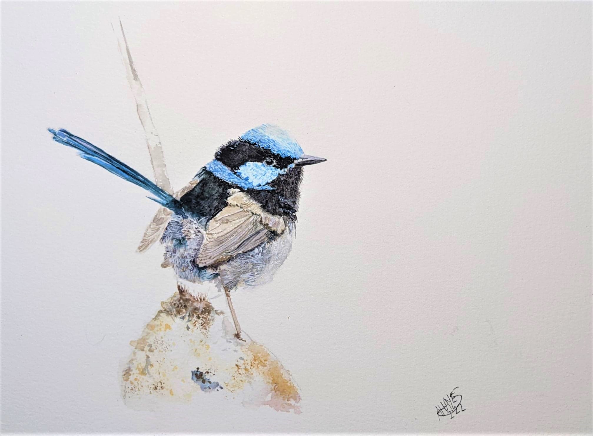 Andrea Hayes Fine Art & Illustration